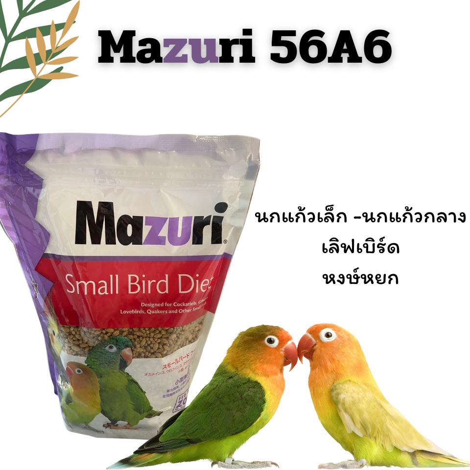 Mazuri 56A6 Small Bird Maintenance 1 กิโลกรัม (พร้อมส่ง) อาหารนกแก้วสาย ...