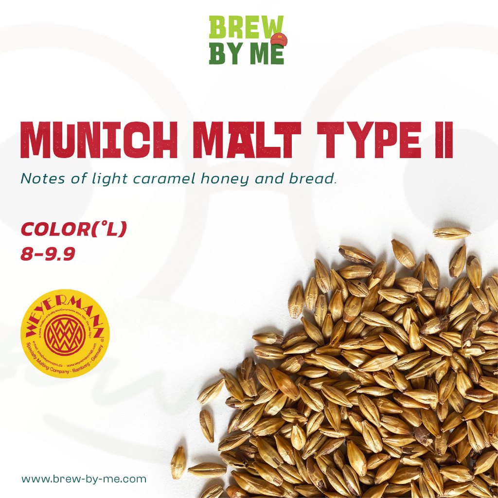 มอลต์ Munich Malt Type II – Weyermann® Malt ทำเบียร์ | Shopee Thailand