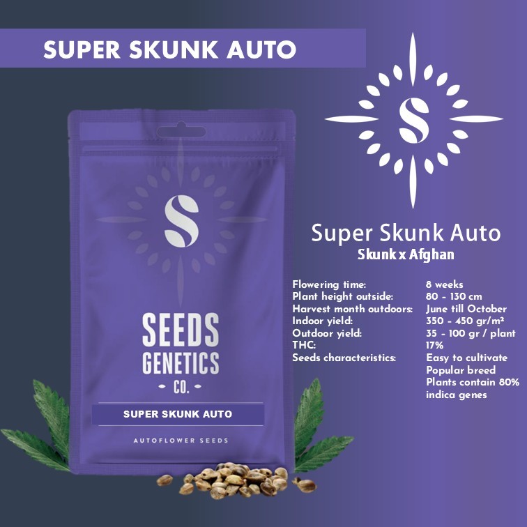 เมล็ด Super Skunk Autoflower - Seeds Genetics | Shopee Thailand
