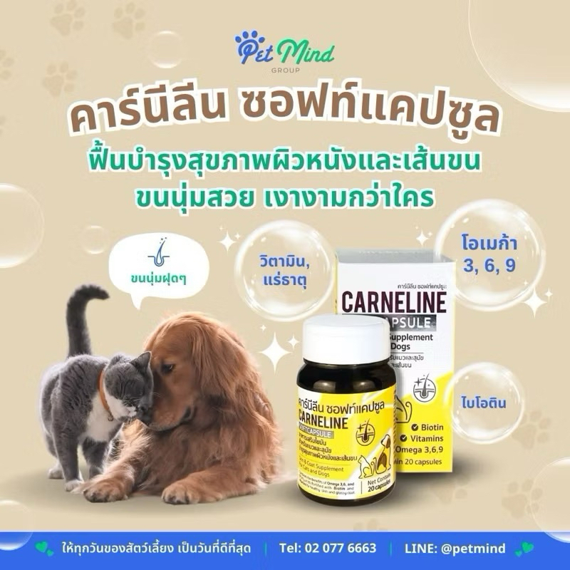 Carneline Soft Capsule คาร์นีลีน อาหารเสริมบำรุงขน ใช้ได้ทั้งสุนัขและ ...