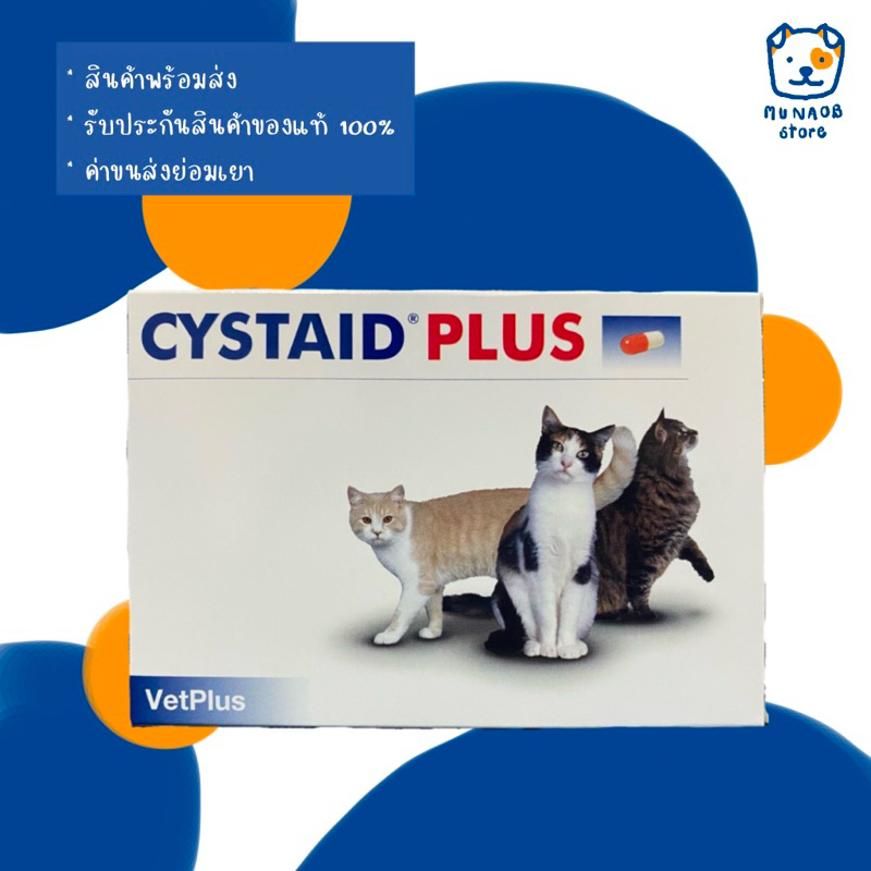 CYSTAID PLUS อาหารเสริมบำรุงทางเดินปัสสาวะ (หมดอายุ 05/2026) | Shopee ...