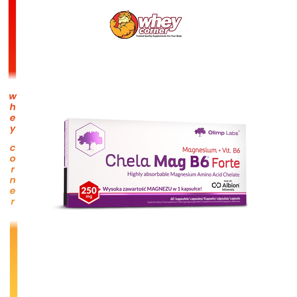 Olimp Chela-Mag B6 Forte Mega 60 Caps แมกนีเซียม วิตามินบี6 magnesium ...
