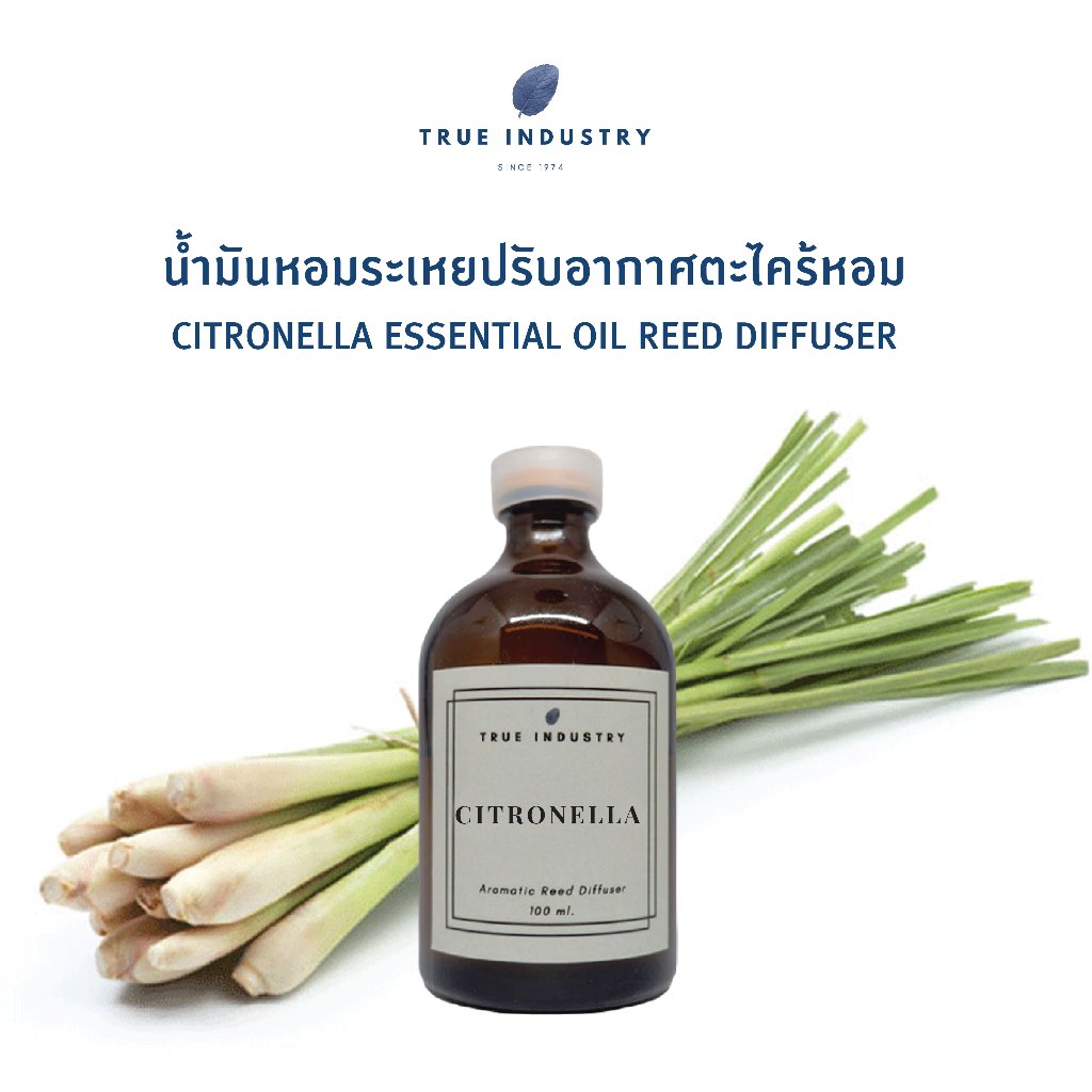 น้ำมันหอมระเหย ตะไคร้หอม สำหรับปรับอากาศ (Citronella Essential Oil Reed ...