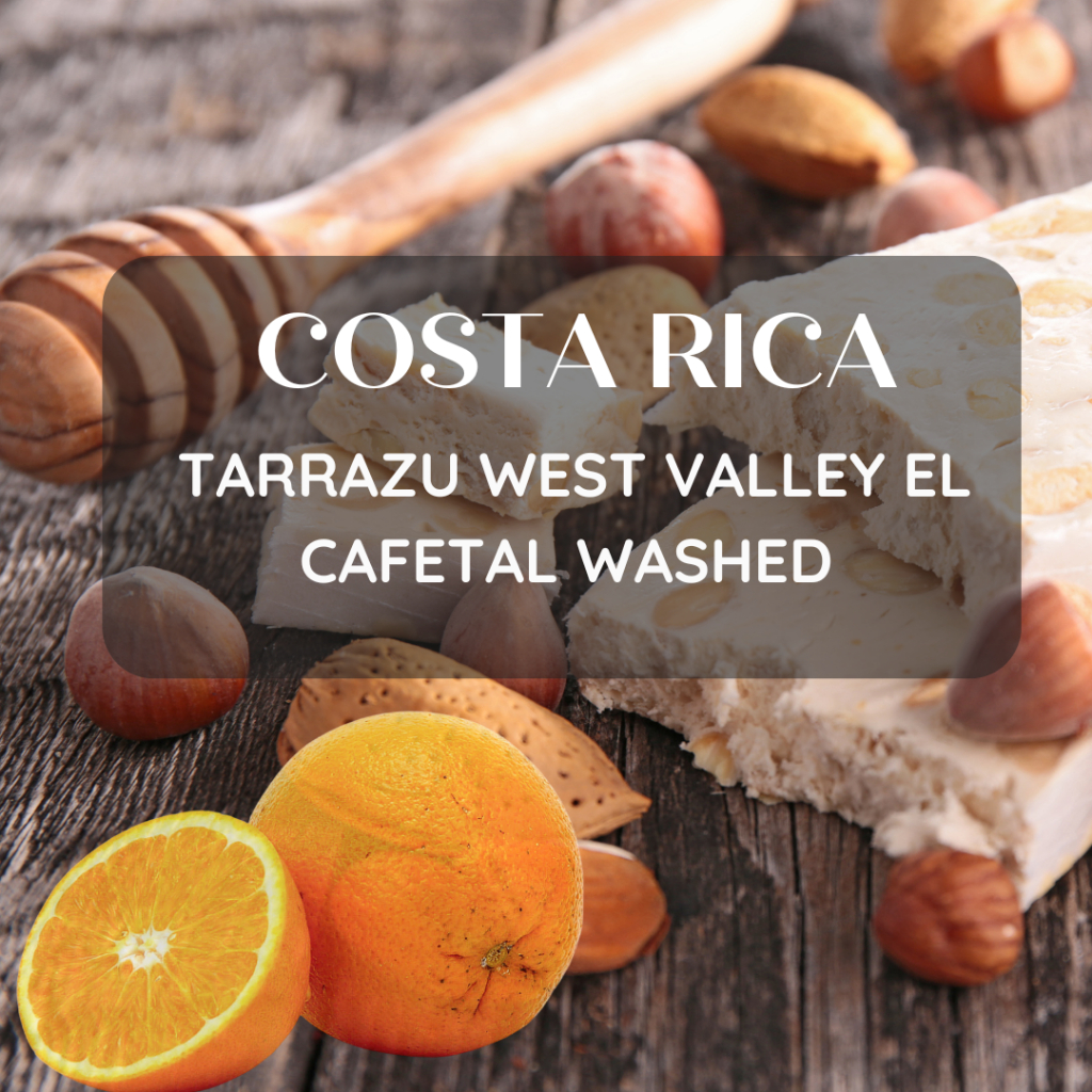สารเมล็ดกาแฟ Costa Rica Tarrazu West Valley El Cafetal Washed | Shopee ...