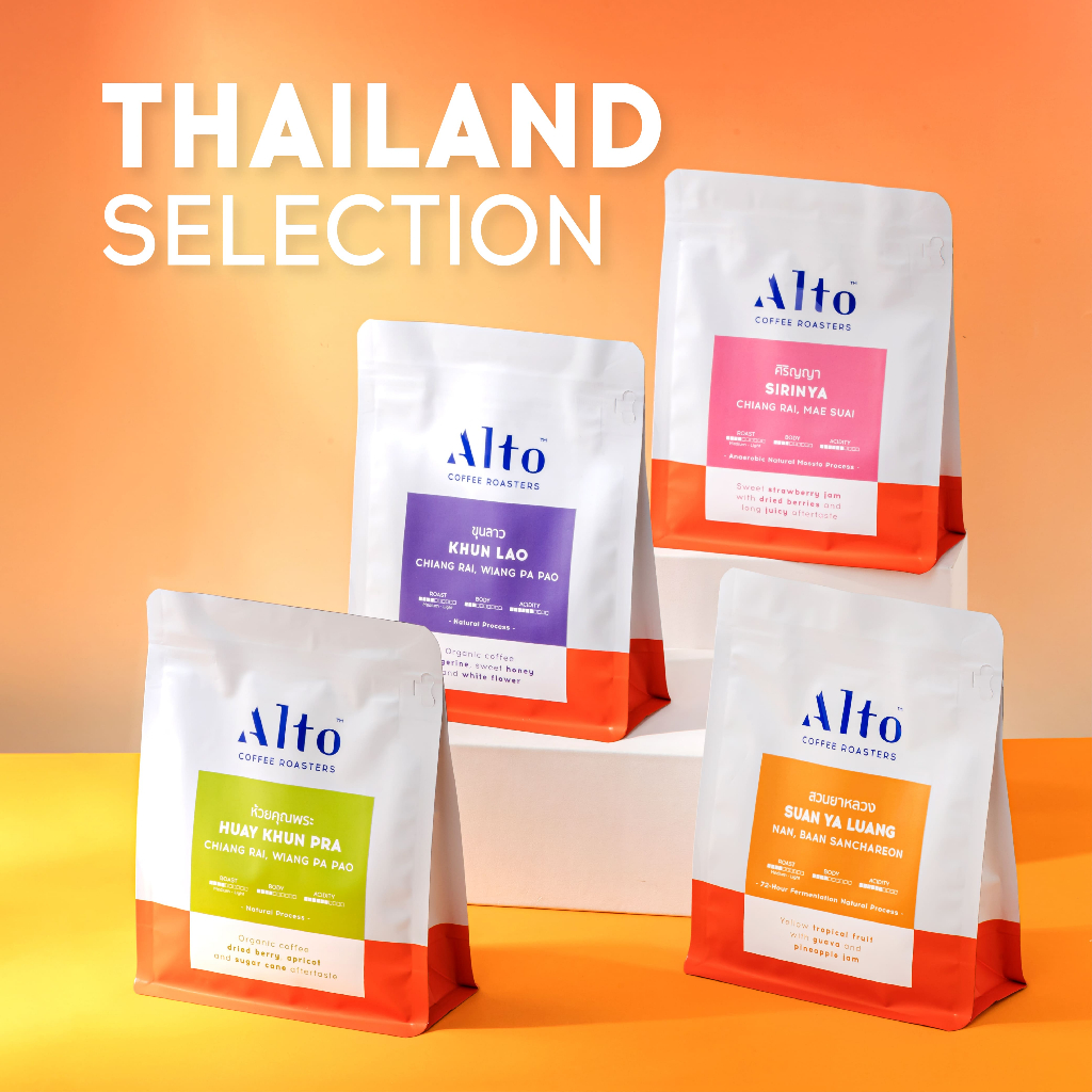 Alto Coffee Thai Selection รวมเมล็ดกาแฟไทย มีให้เลือก 6 เมล็ด (200g ...