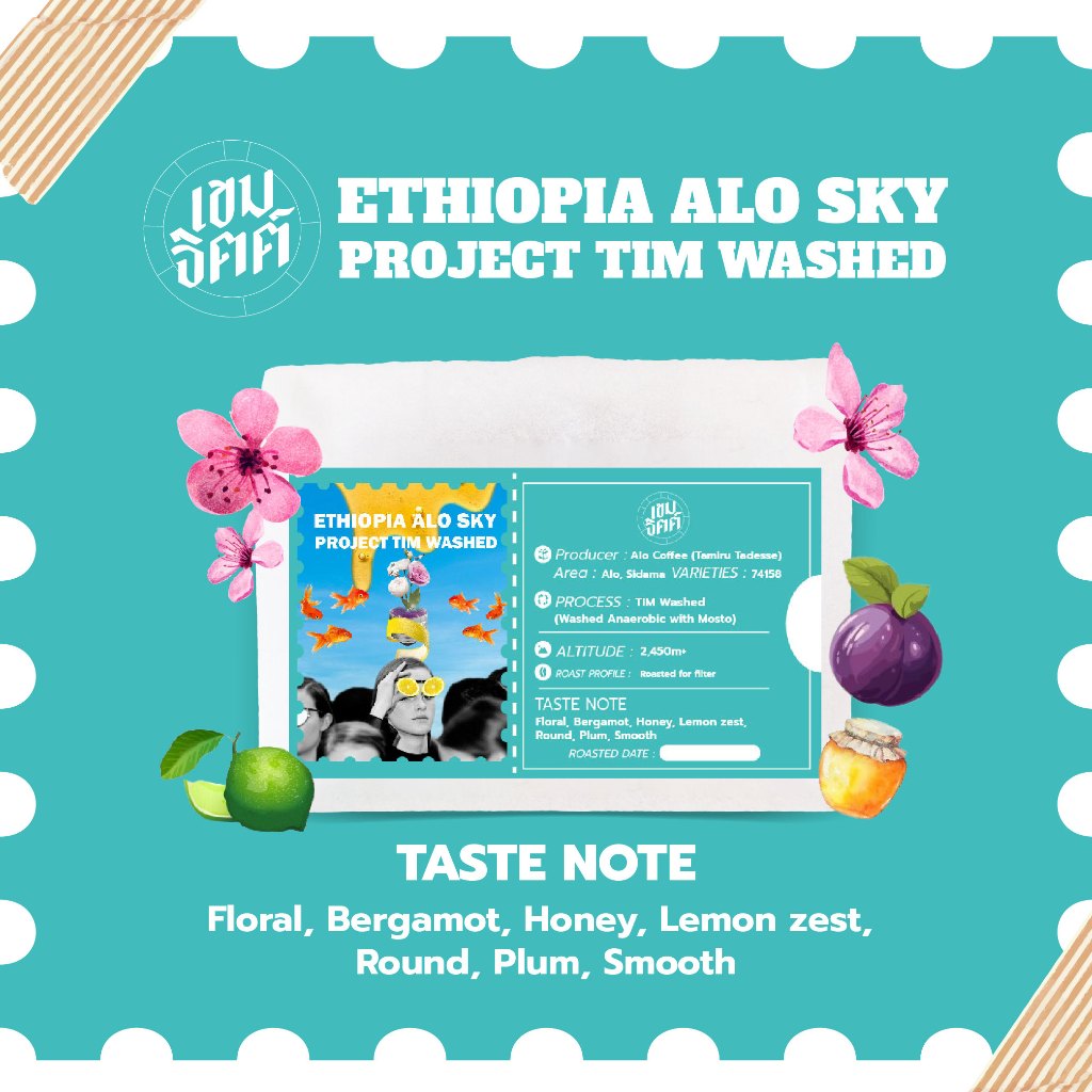เมล็ดกาแฟ คั่วอ่อน Ethiopia Alo Sky Project TIM Washed Tri up tamiru tadesse สายพันธุ์74158 100 ...