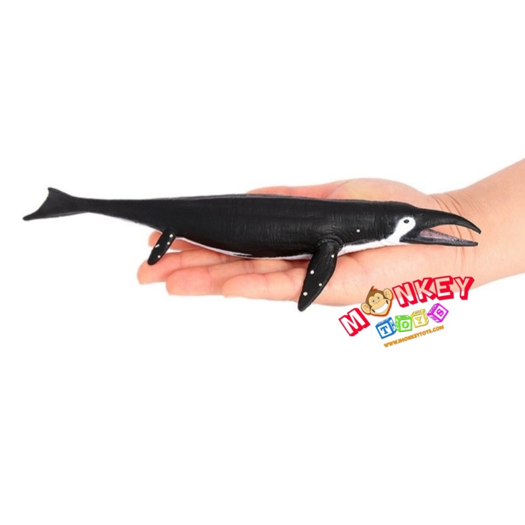 Monkey Toys - โมเดล ไดโนเสาร์ Shastasaurus ขนาด 24.50 CM (จากหาดใหญ่ ...