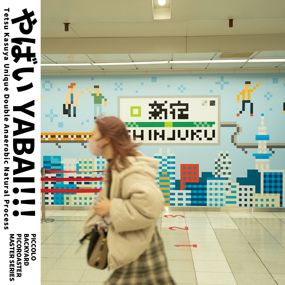 เมล็ดกาแฟคั่ว เอธิโอเปีย ALO Ethiopia Tetsu Kasuya YABAI | Shopee Thailand