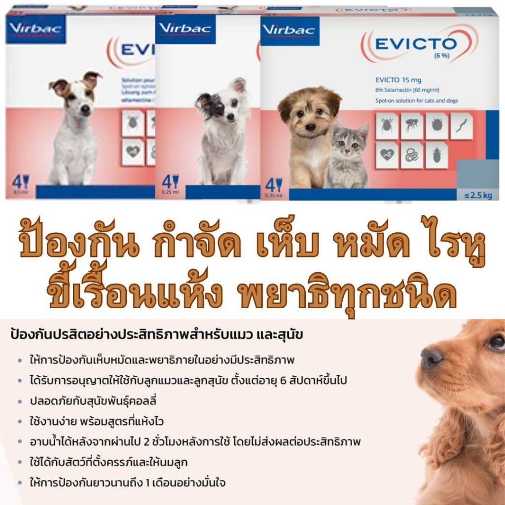 Virbac Evicto Spot-On ชนิดหยอดหลัง สำหรับสุนัข และแมว บรรจุกล่องละ 4 ...