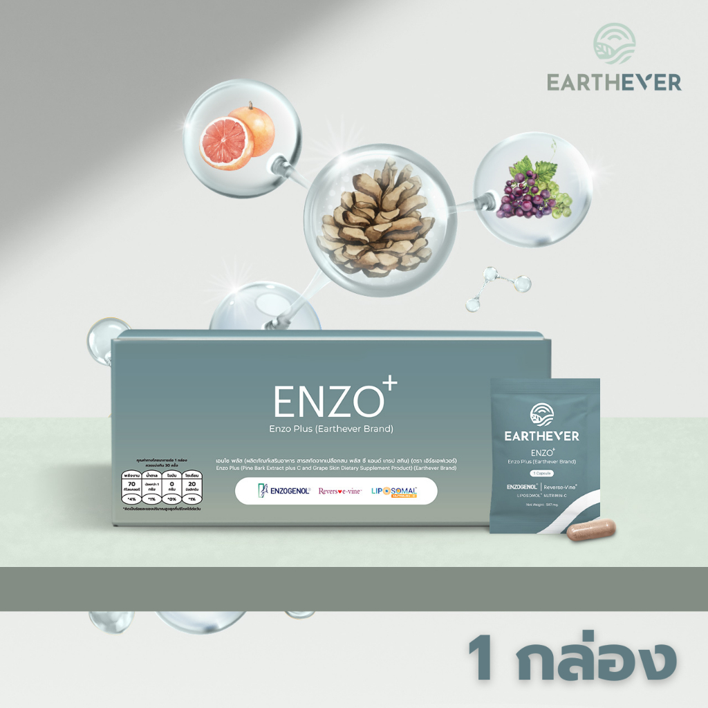 EARTHEVER ENZO Plus เอิร์ธเอฟเวอร์ เอนโซ พลัส 1 กล่อง 30 แคปซูล ...