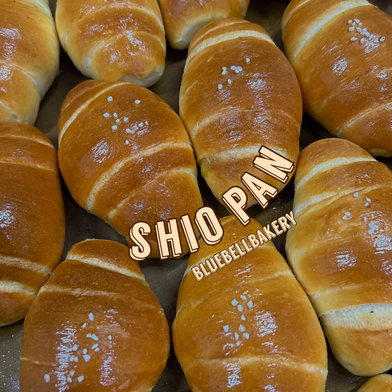 shio pan ขนมปังเกลือ bluebell (ไม่เกิน 3 วันจัดส่ง) | Shopee Thailand