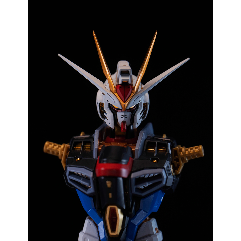 Minerval Hobby MG MB MC 8802 MGEX 1/100 หัว Head Strike Freedom เฉพาะหัว โมจีน ประกอบเป็น keycap ...