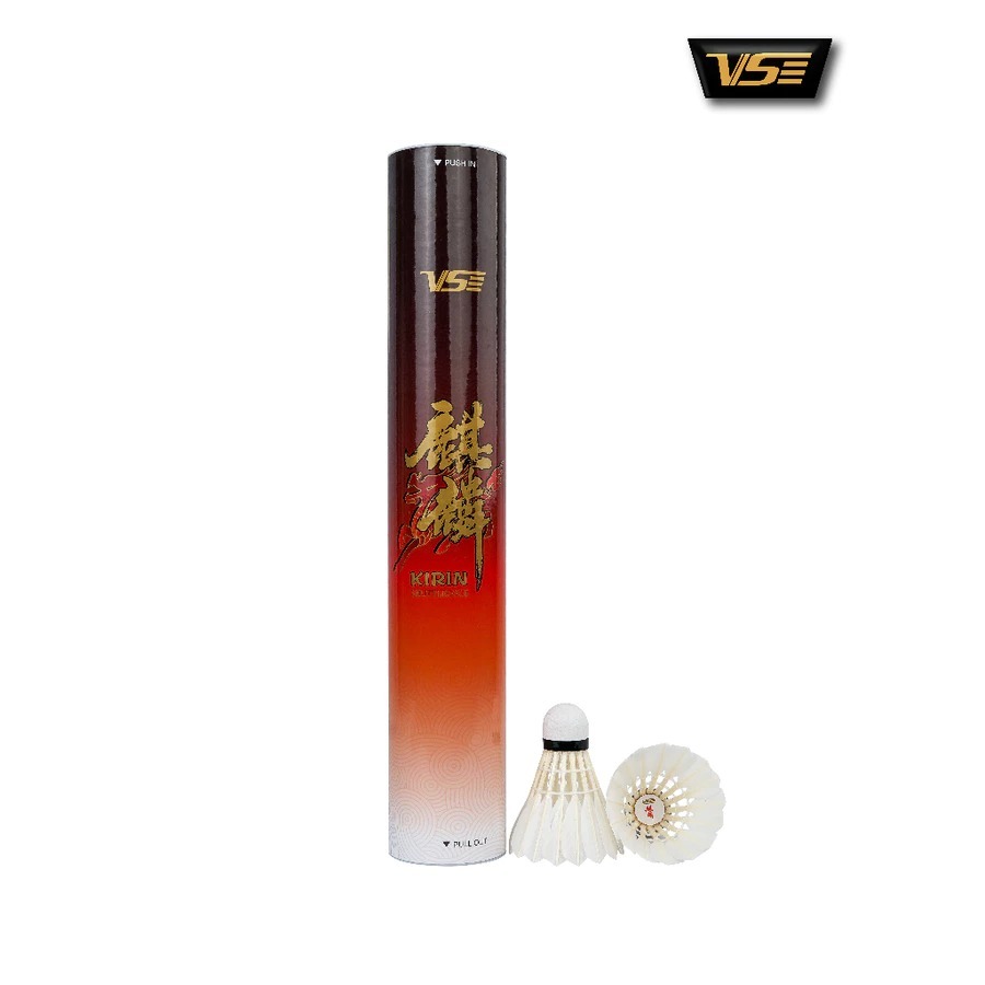ลูกแบดมินตัน รุ่น VS KIRIN Shuttlecock | Shopee Thailand