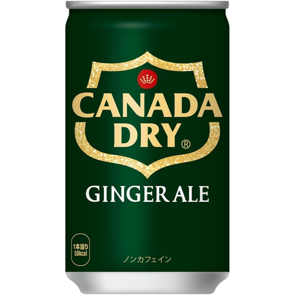 Coca-Cola Canada Dry Ginger Ale | Shopee Thailand