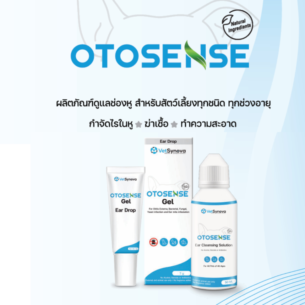Otosense น้ำยาทำความสะอาดหู ฆ่าเชื้อ กำจัดไรหู สารสกัดจากธรรมชาติ ขนาด ...