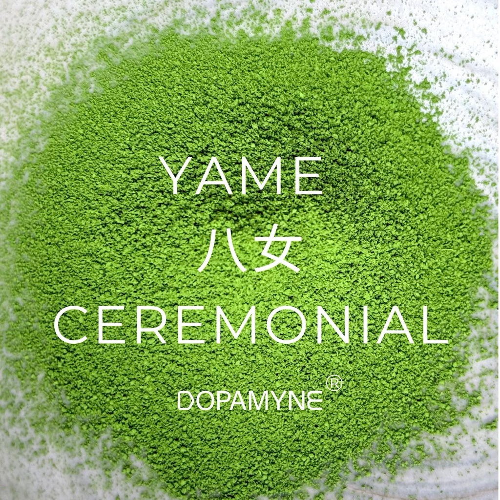 Yame matcha ceremonial (八女) • ผงมัทฉะยาเมะ เกรดพิธีการ | Shopee Thailand