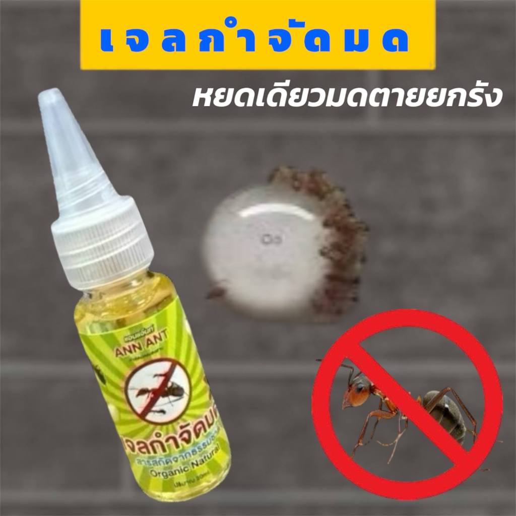 แอนแอ๊นท์ AnnAnt Bait เจลกำจัดมด แมลงสาบ Ann Ant ปริมาณ20ml. กำจัดมดใน ...