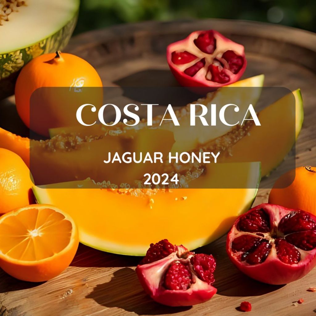 สารเมล็ดกาแฟ Costa Rica Jaguar Honey 2024 | Shopee Thailand