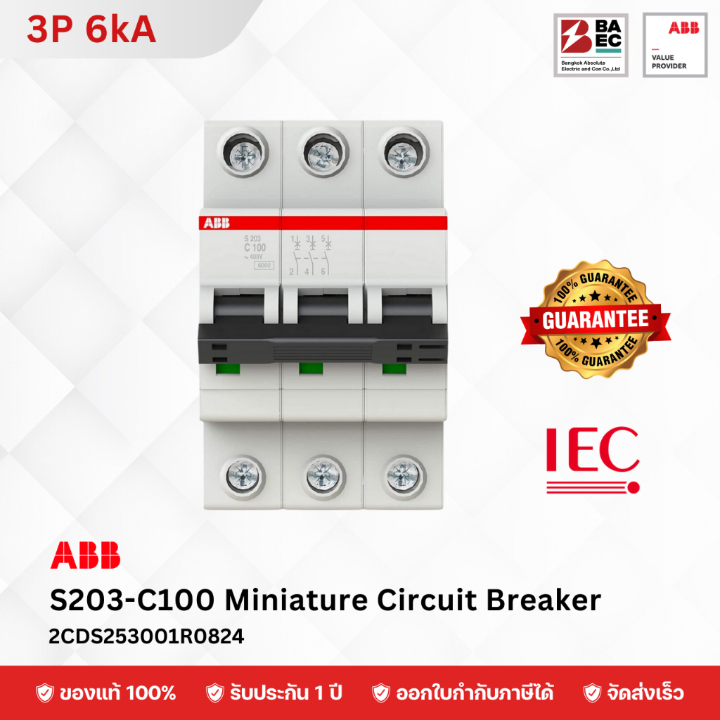 ABB S203-C100 เซอร์กิตเบรกเกอร์ 100 Amp 3P 6KA | Shopee Thailand