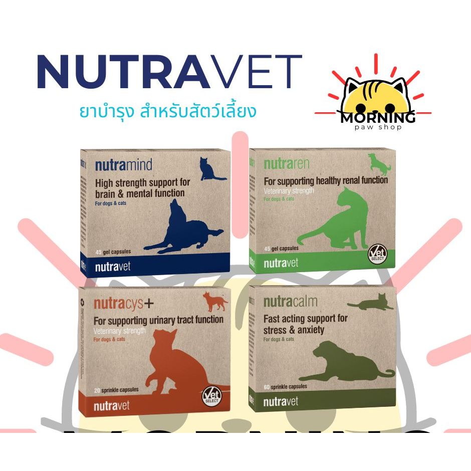 Nutravet วิตามินบำรุงและรักษาระบบต่างๆในร่างกาย สำหรับสัตว์เลี้ยง ...