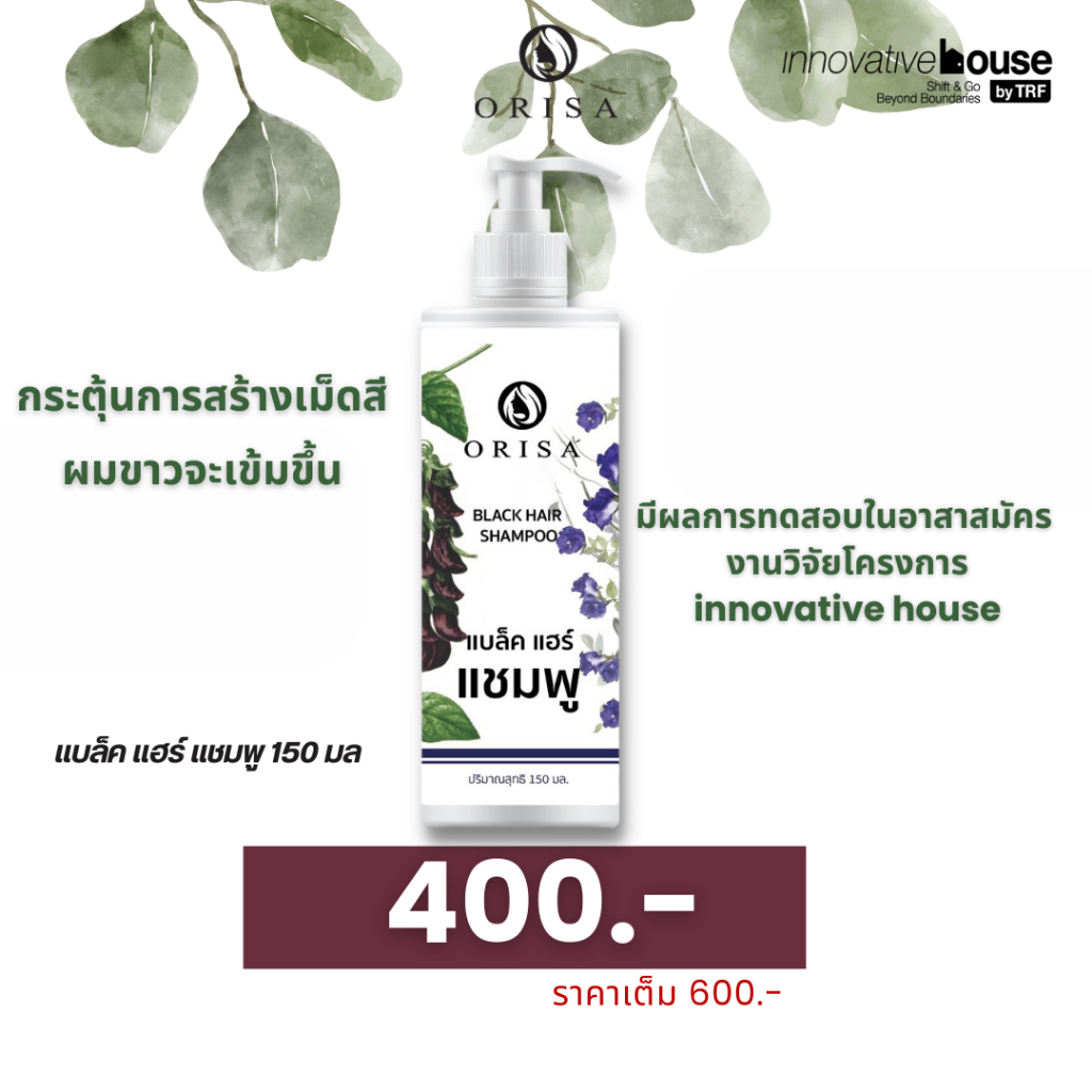 Black Hair Shampoo-แชมพู ชะลอหงอก ลดผมร่วง สารสกัด L-dopa จากหมามุ่ย มี ...