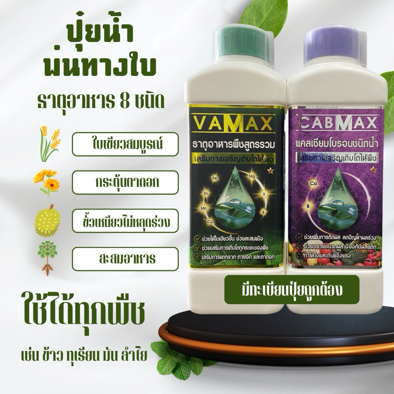 ปุ๋ยน้ำ (1 แถม 1) VAMAX ธาตุอาหารพืชรวม + CABMAX แคลเซียมโบรอน ใบเขียว ...