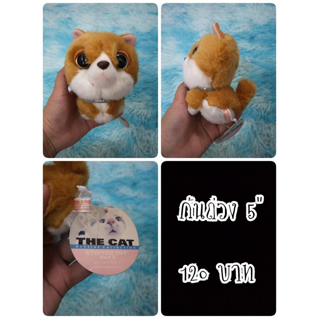 THE CAT Artlist Collection Stuffed Τoy#เดอะแคท#แมว#ตุ๊กตาญี่ปุ่นมือสอง | Shopee Thailand