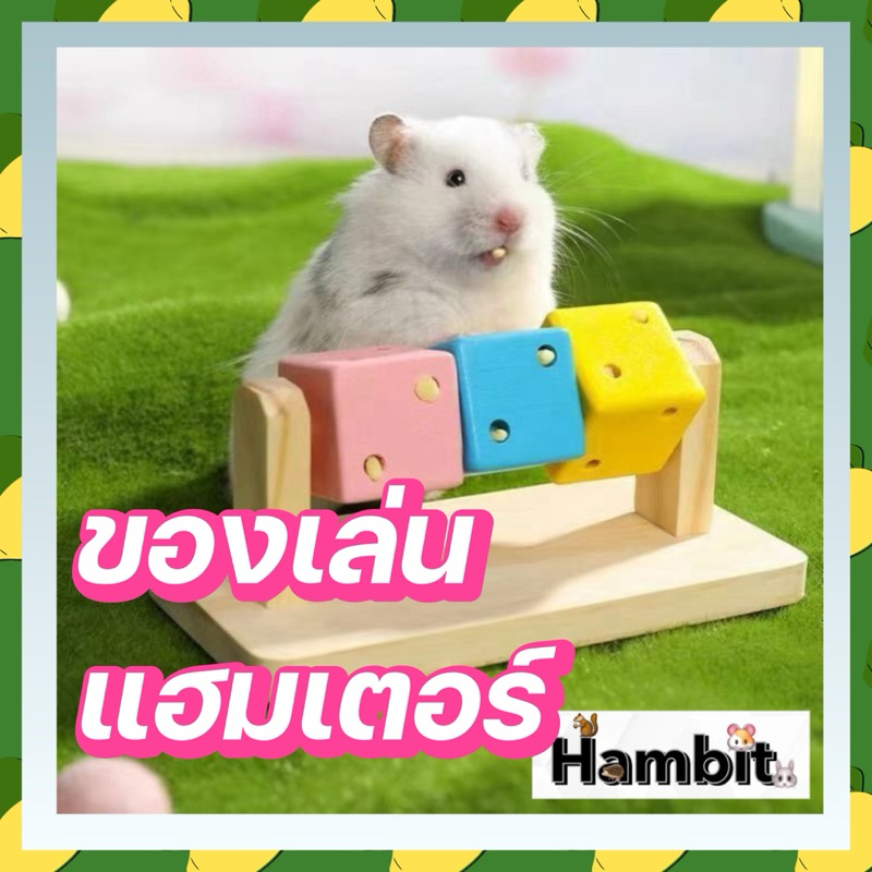 Hambit. ของเล่นแฮมเตอร์ ลูกเต๋าลับฟัน ของตกแต่งกรง ลูกกลิ้งแฮมเตอร์ ...