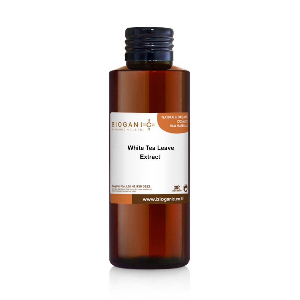 สารสกัดชาขาว WHITE TEA LEAVES EXTRACT | Shopee Thailand