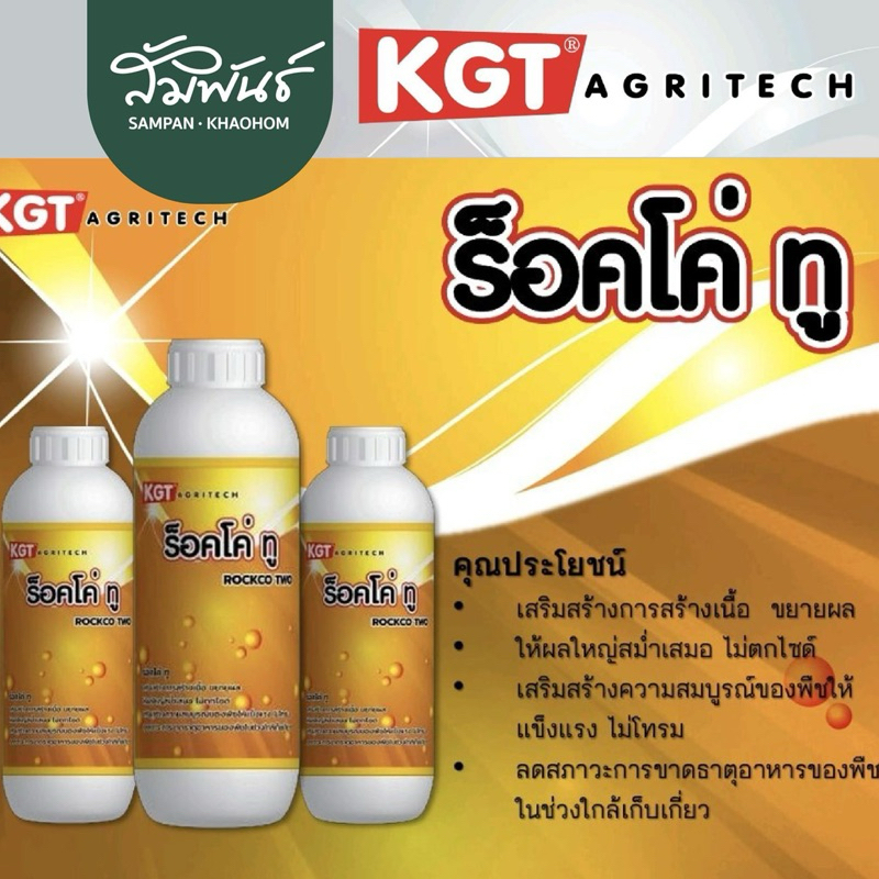 ร็อคโค่ทู KGT เคจีที อาหารเสริมพืช บำรุงผล ขยายผล ผลสมบูรณ์ | Shopee ...