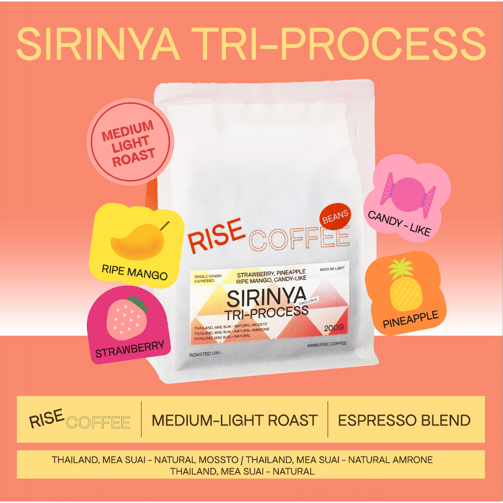 RISE COFFEE เมล็ดกาแฟคั่วกลางอ่อน SIRINYA TRI-PROCESS กาแฟจากโปรดิว ...
