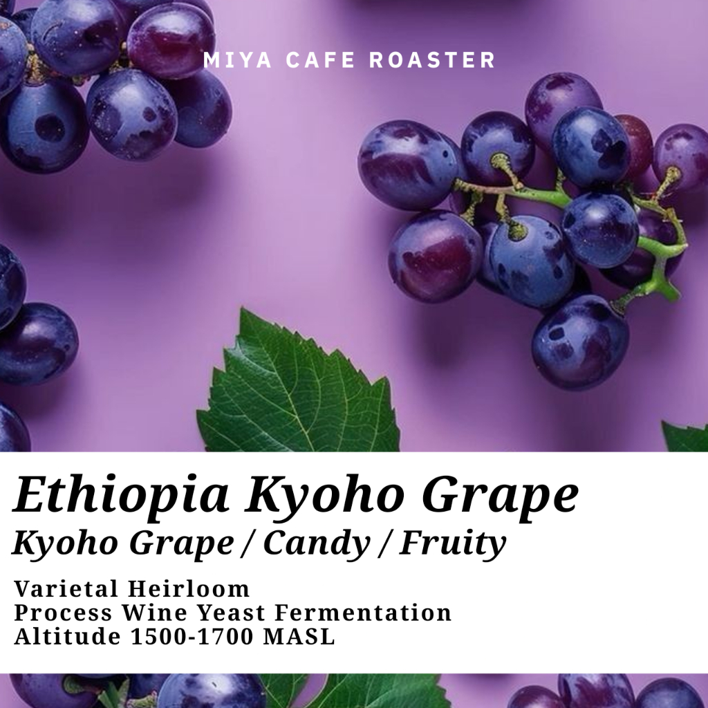 Ethiopia Kyoho Grape เมล็ดกาแฟ เอธิโอเปีย องุ่น เคียวโฮ Coffee Beans by ...