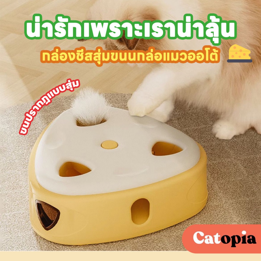 FOSFOS กล่องชีสสุ่มขนนกอัตโนมัติ เพิ่มความสนุกสนานให้แมวทุกวันของเล่น ...