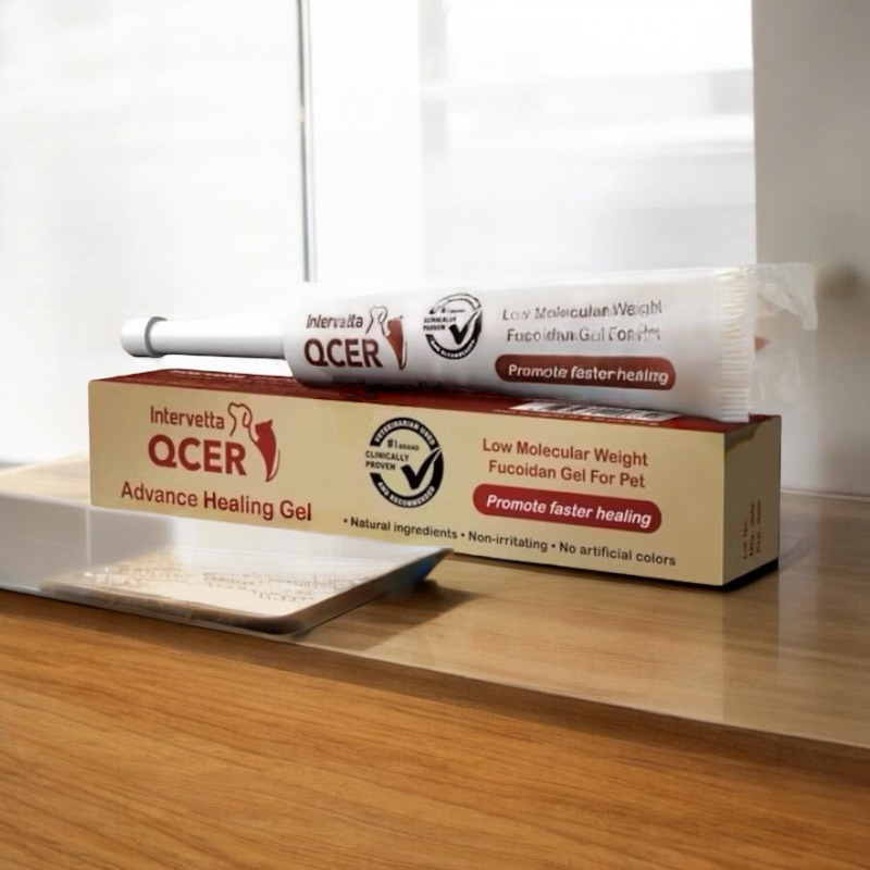 Intervetta QCER Advanced Healing Gel Exp.15/8/2026 ขนาด 15 g. สำหรับให้แผลช่วยให้หายเร็ว ปรับ ...