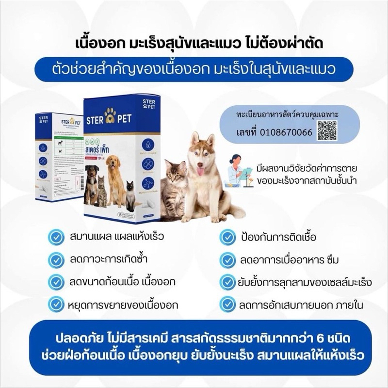STER PET 1 กล่อง ( 15 แคปซูล ) อาหารเสริมหมาแมว | Shopee Thailand