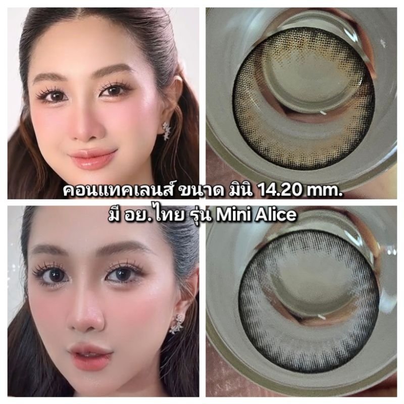 คอนแทคเลนส์ รุ่น Mini Dreamy/ Mini Alice สีเทา/ตาล/ดำ Gray/Brown/Black ...