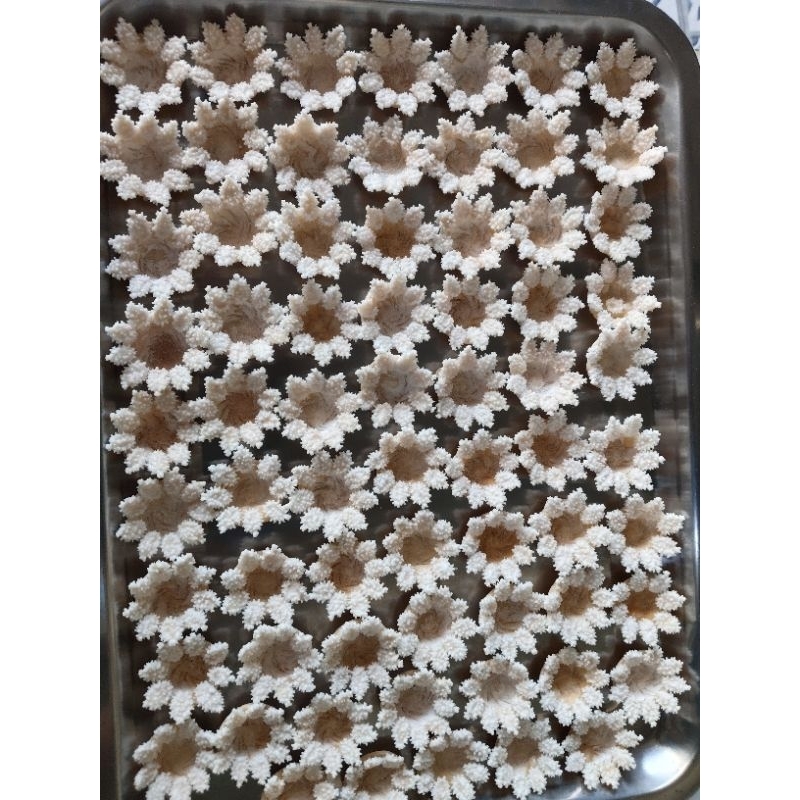 ฐานดอกดาราทอง ดอกดาราทองสำเร็จ | Shopee Thailand