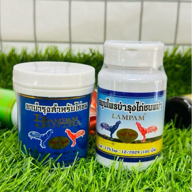 ลำปำ…ชุดเลี้ยงโสมและสมุนไพร | Shopee Thailand