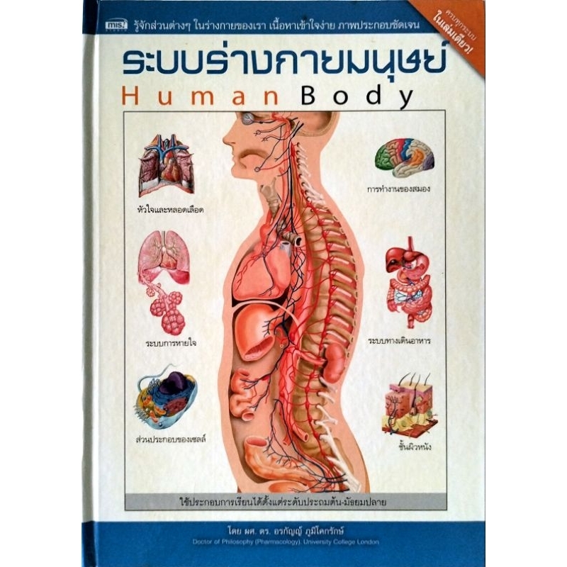 ระบบร่างกายมนุษย์ Human Body หนังสือ(มือสอง)หมวดเสริมความรู้ ...