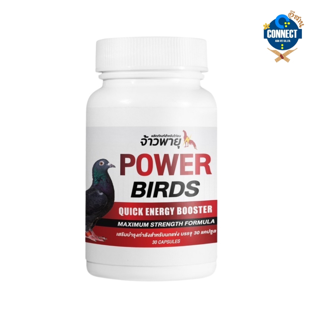 Randolph - อาหารเสริมพลังงานสำหรับสัตว์ปีก POWER BIRD QUICK ENERGY ...