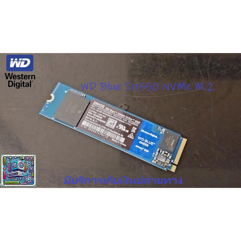 250GB WD Blue SN550 NVMe M.2 SSD (no box) | Shopee Thailand