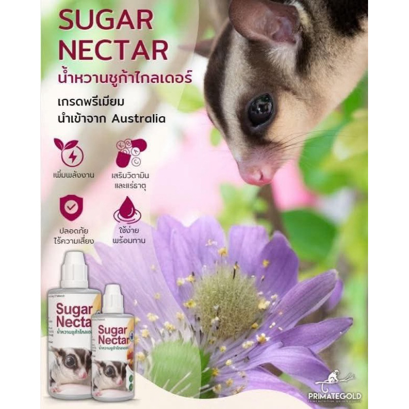 Sugar Nectar น้ำหวานเพิ่มพลังงาน เหมาะสำหรับบุชเบบี้ ชูก้าไกลเดอร์ มาโม ...