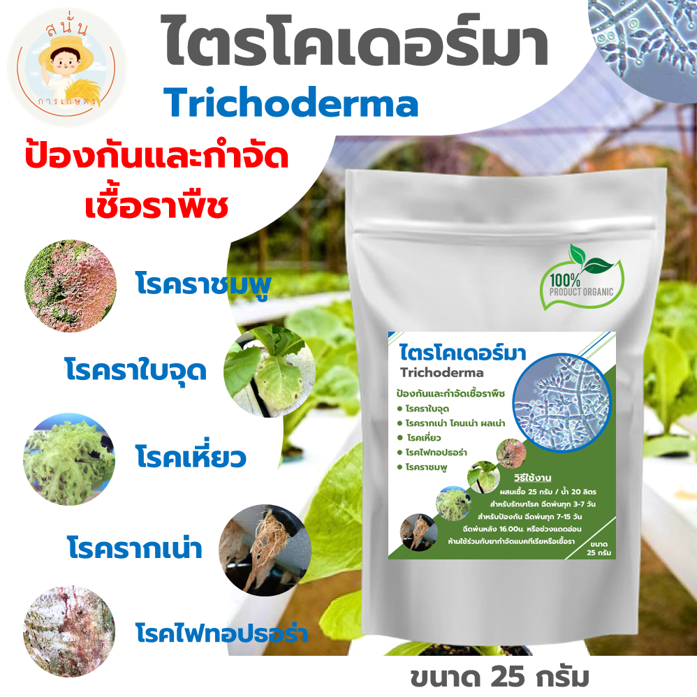 Trichoderma ไตรโคเดอร์มา แบบผง ป้องกันและกำจัดเชื้อราพืชสวน โรครา ใบจุด ...