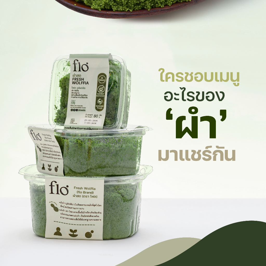 ผำสด Fresh flo Wolffia 400g | Shopee Thailand