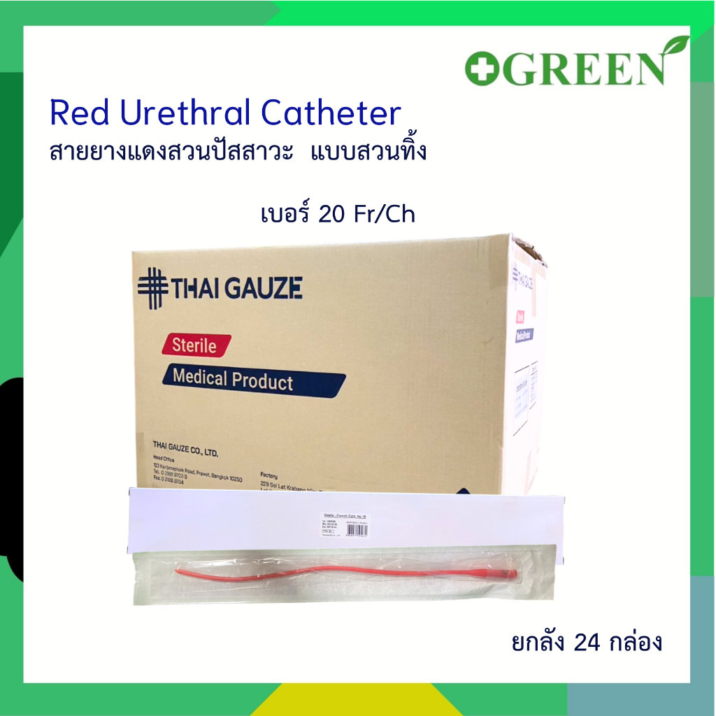 (ยกลัง) สายสวนปัสสาวะ แบบสวนทิ้ง สายยางแดง Red urethral / French ...