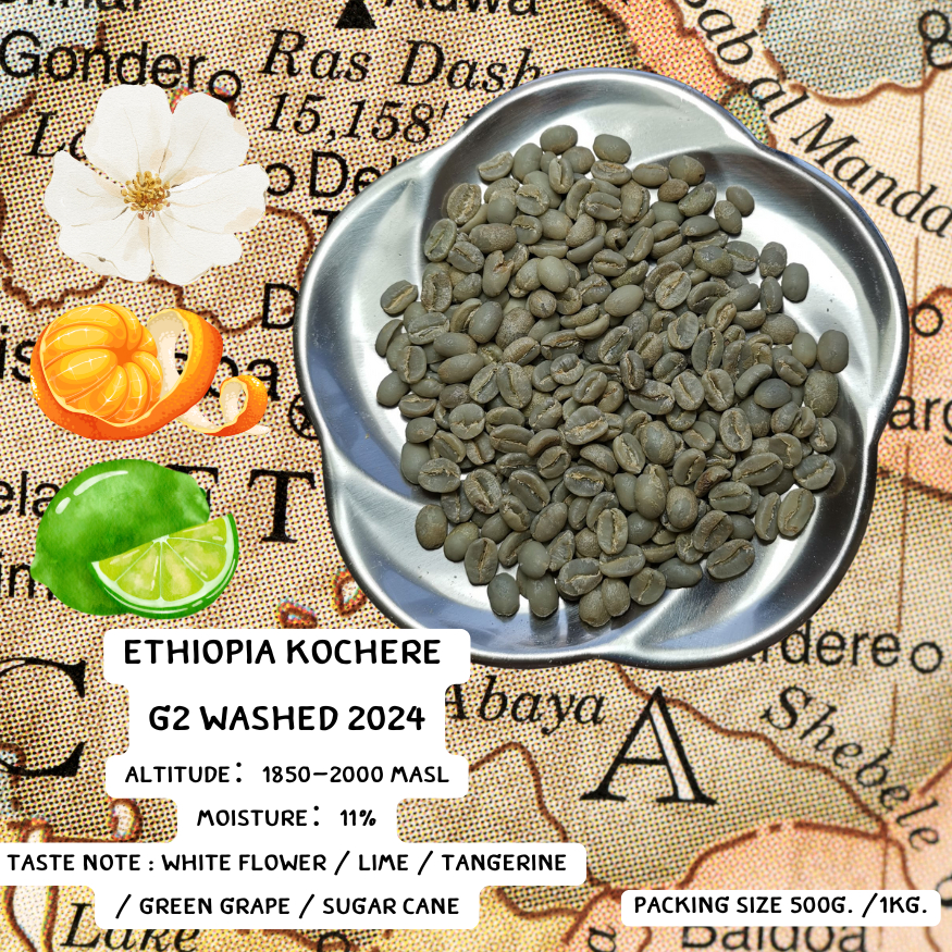 สารกาแฟ Ethiopia Kochere G2 Washed | Shopee Thailand