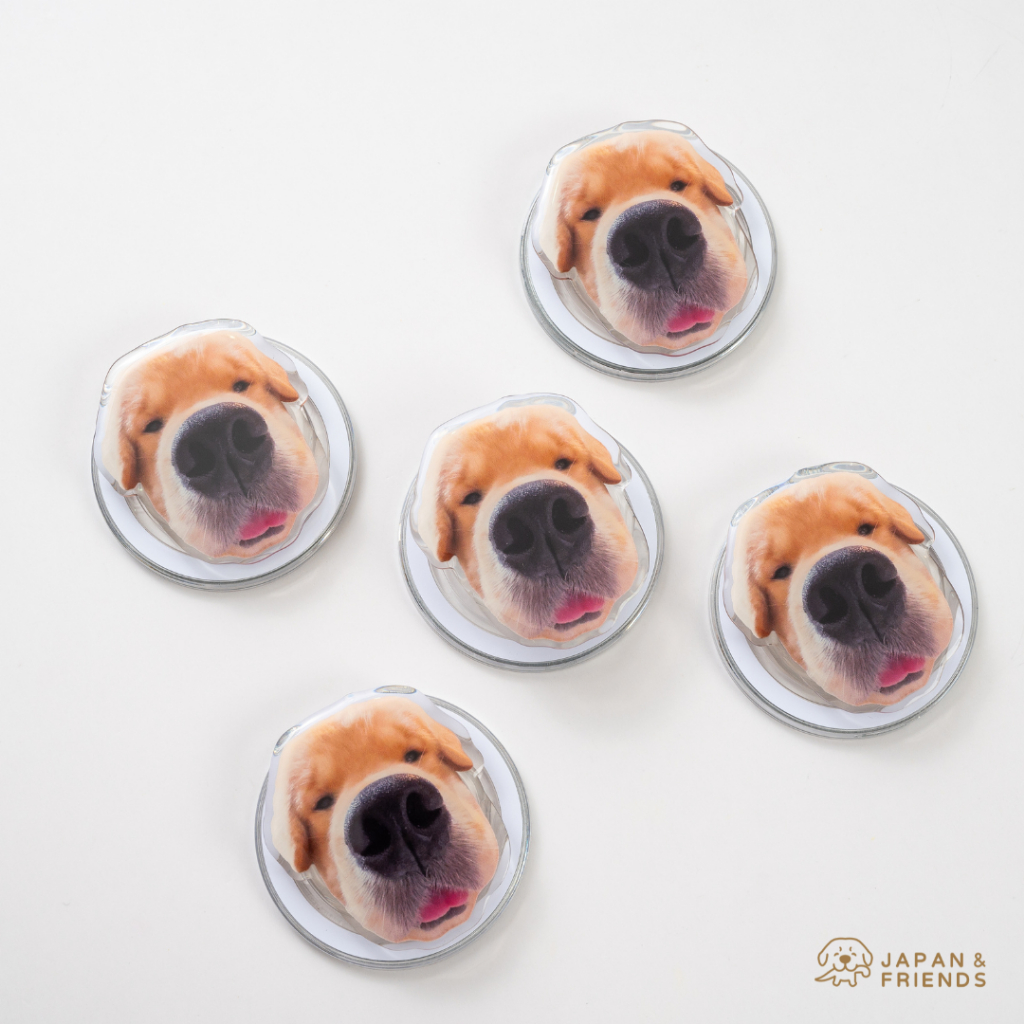 GripTok Acrylic มีทั้งแบบแม่เหล็กและแบบกาว ลายหน้าตู้มจุ๊มเหม่ง ที่ติด ...