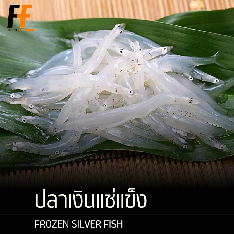 ปลาเงินแช่แข็ง (ขนาด5-7ซม.) 1 กิโลกรัม | FROZEN SILVER FISH | Shopee ...