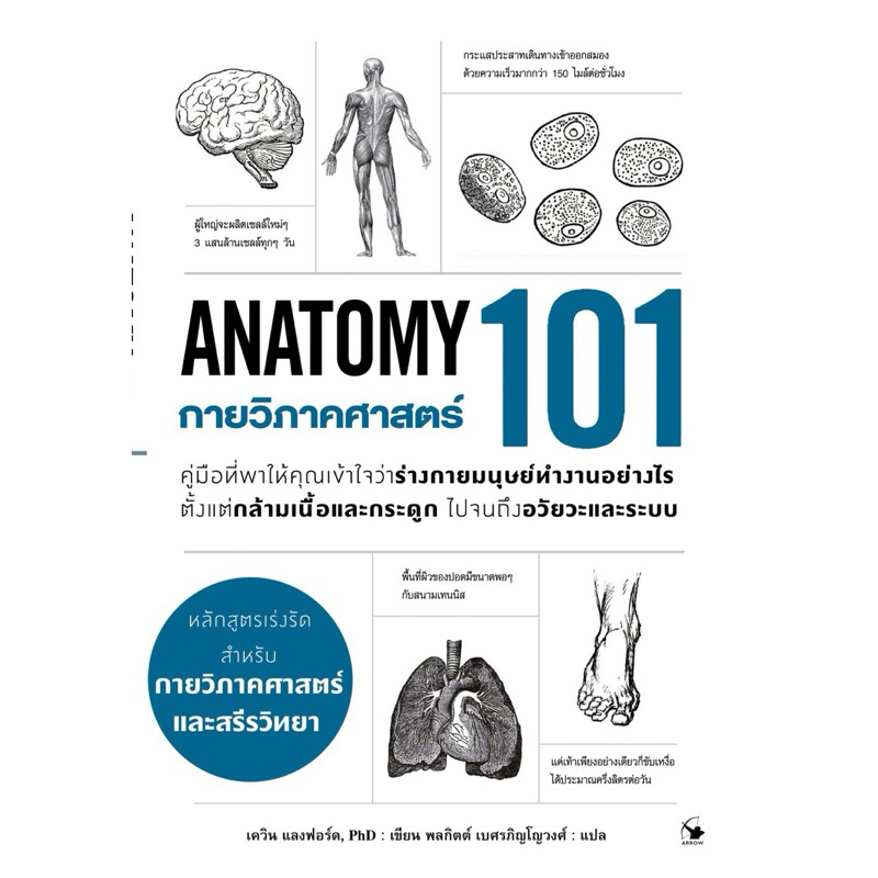 กายวิภาคศาสตร์ 101 (Anatomy 101) | Shopee Thailand