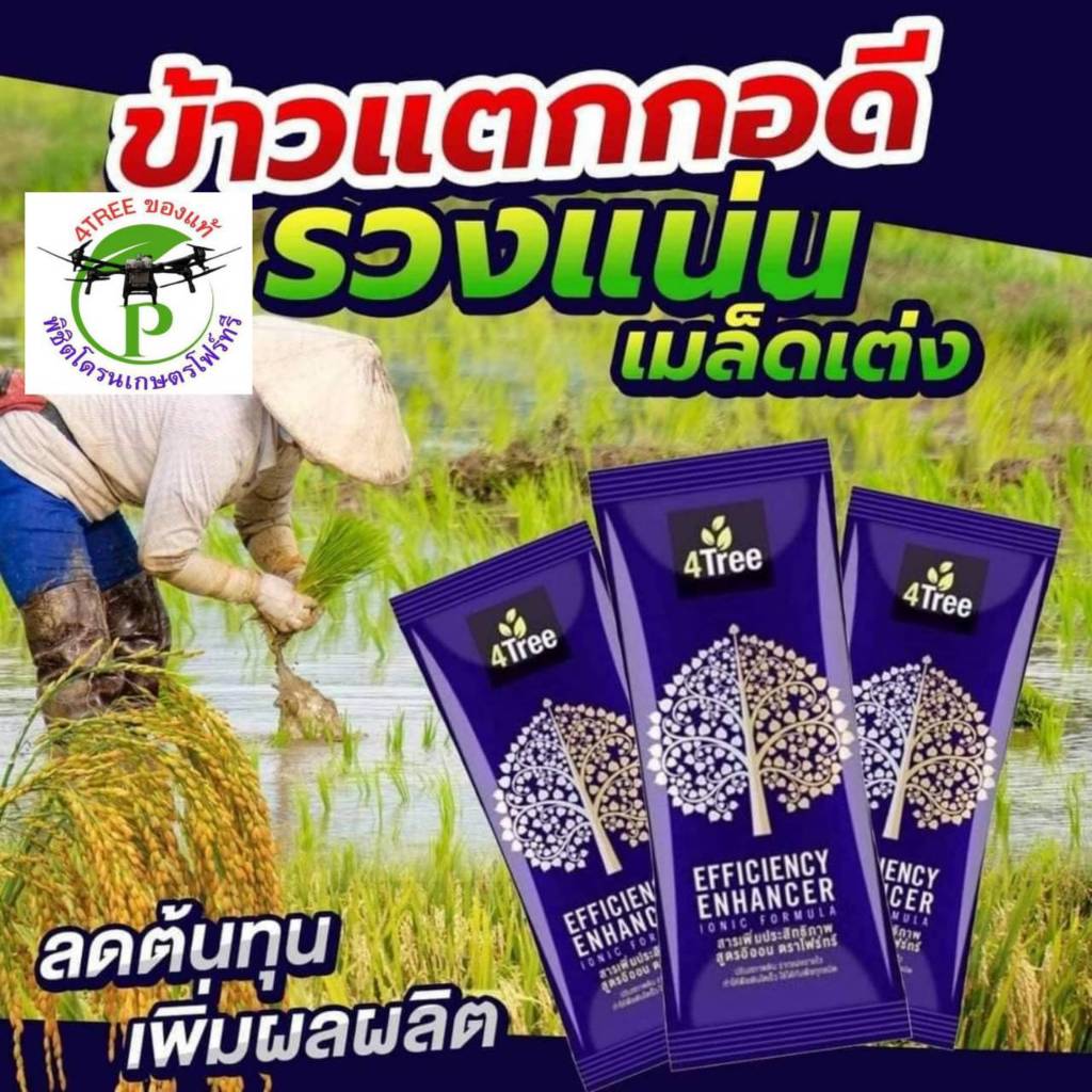 4Tree โฟร์ ทรี ชุด 3ซองใช้ได้ 60ไร่สารเสริมประสิทธิภาพพืชสูตรอิออน เร่งราก โตเร็ว เขียวนาน ใช้ ...